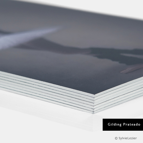 FLORIcolor - Boutique Portfolio