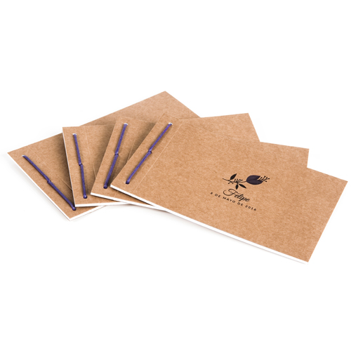 FLORIcolor - Kraft Book