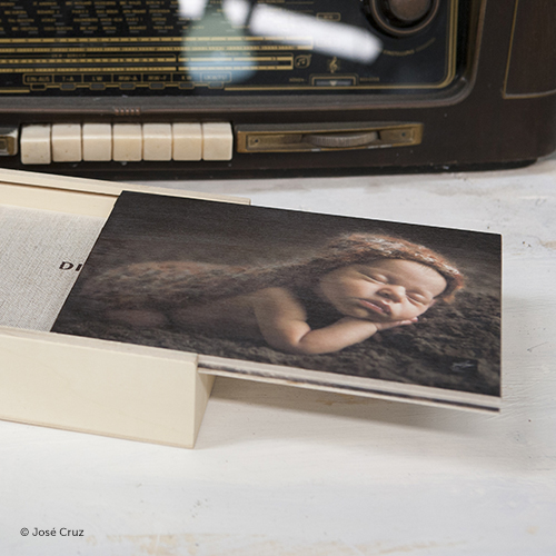 FLORIcolor - Mini Album Combo