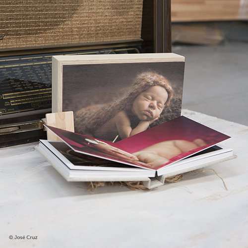 FLORIcolor.pt - Mini Album Combo